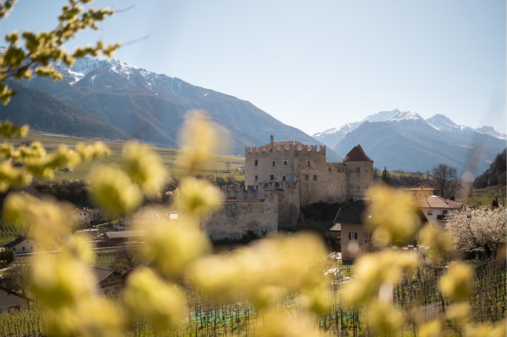 Frühlingserwachen im Vinschgau | Südtirol