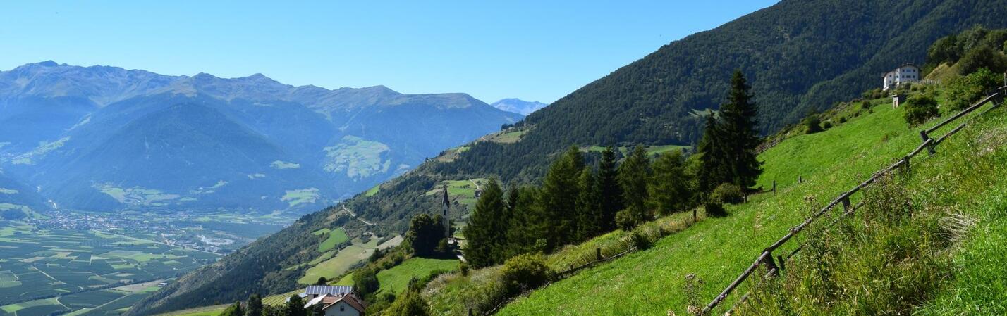 Informationen für einen Urlaub in Tanas in Südtirol