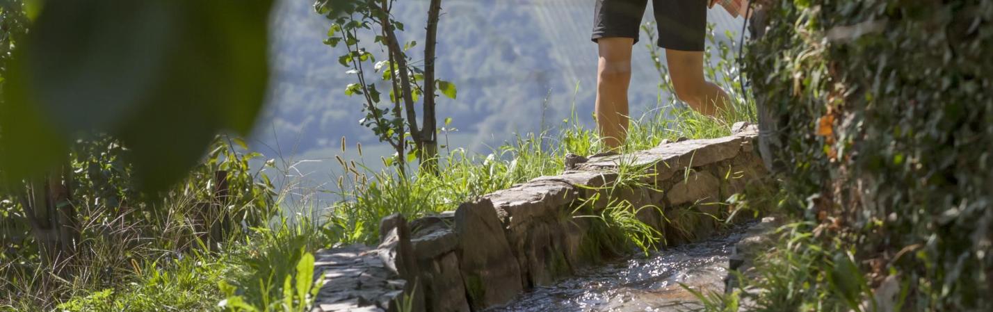 Die schönsten Waalwege im Vinschgau - Genusswandern in Südtirol