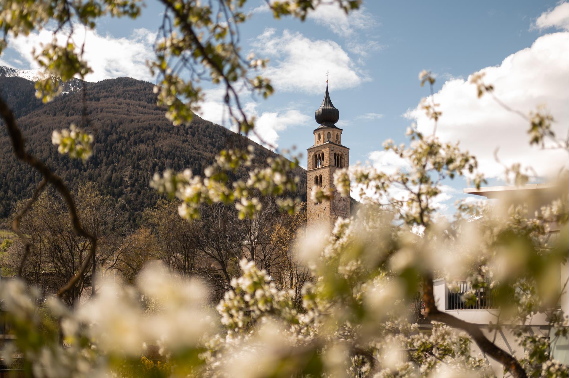 Frühlingserwachen im Vinschgau | Südtirol